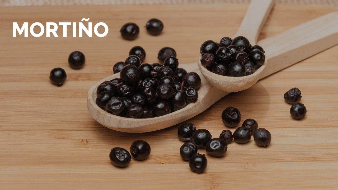 La sequía y los incendios en Ecuador impactan la producción de mortiño ...